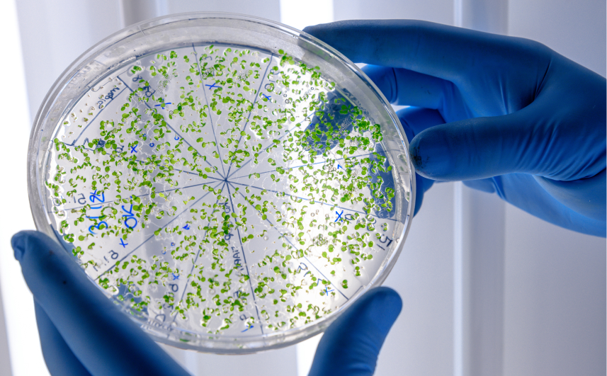 Murray Brown Labs | Raw Meat Testing Services